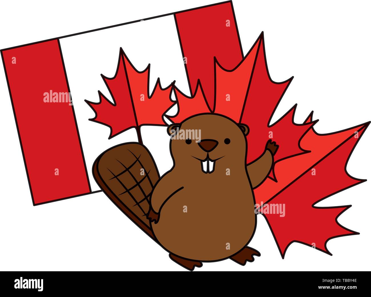 beaver with canadian flag and maple leaf Stock Vector Image & Art - Alamy