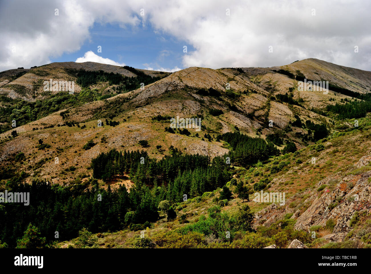 Linas hi-res stock photography and images - Alamy