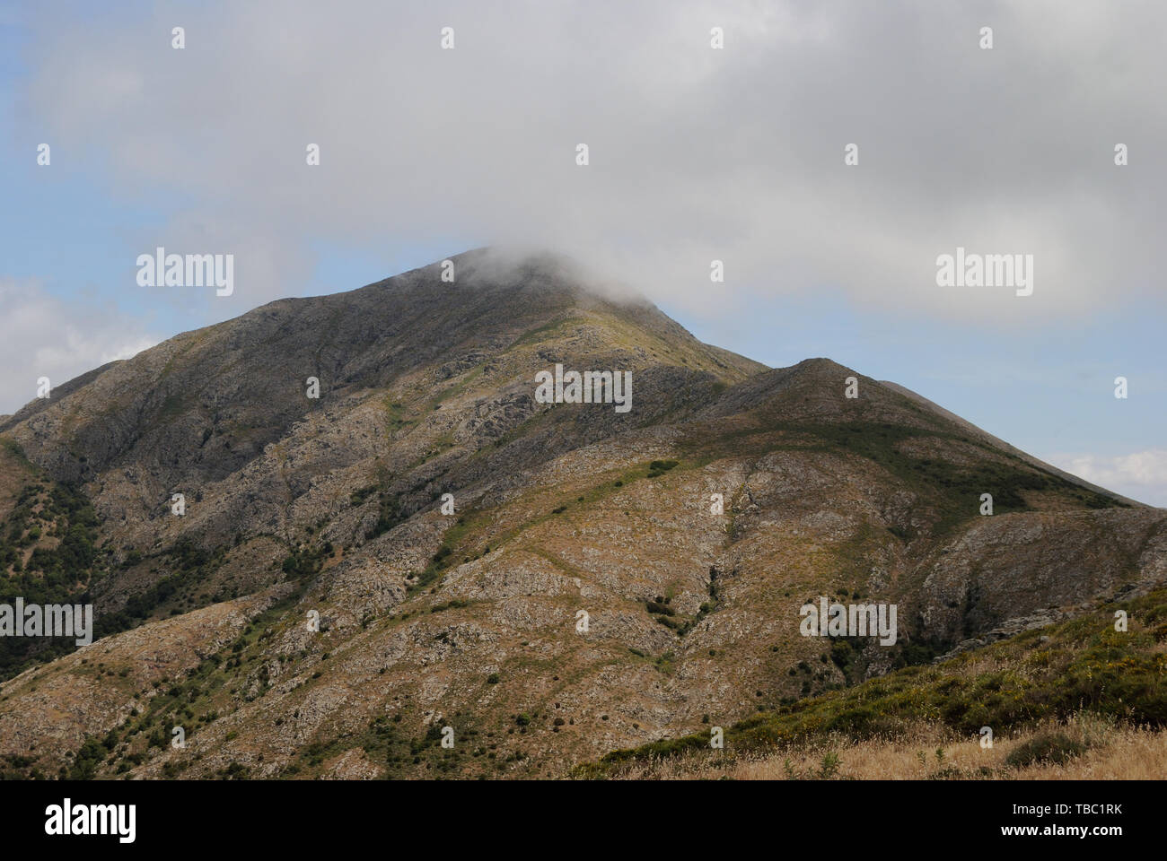 Linas hi-res stock photography and images - Alamy