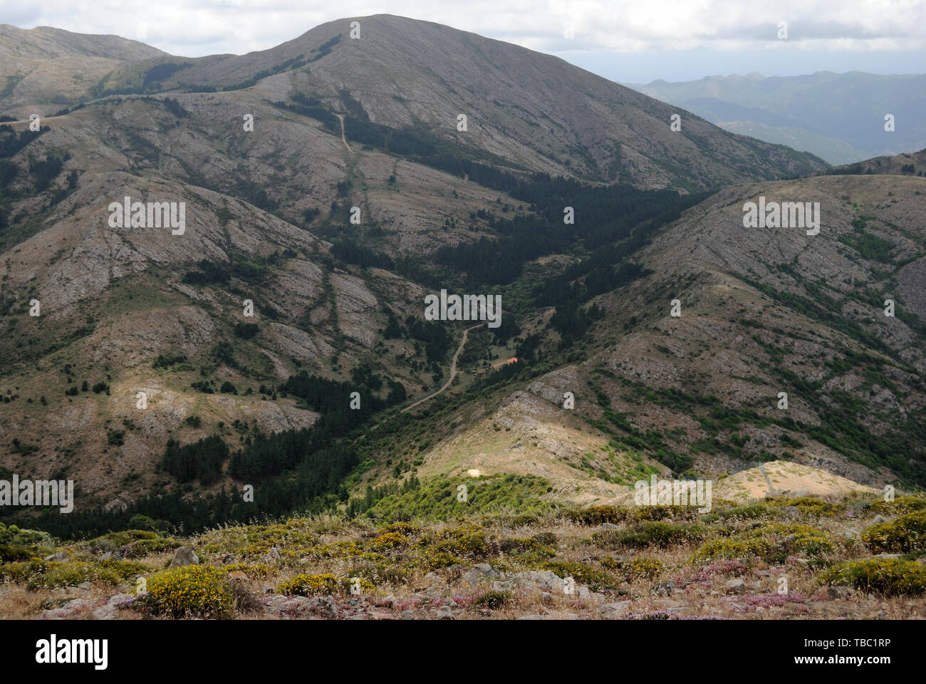 Linas was here hi-res stock photography and images - Alamy