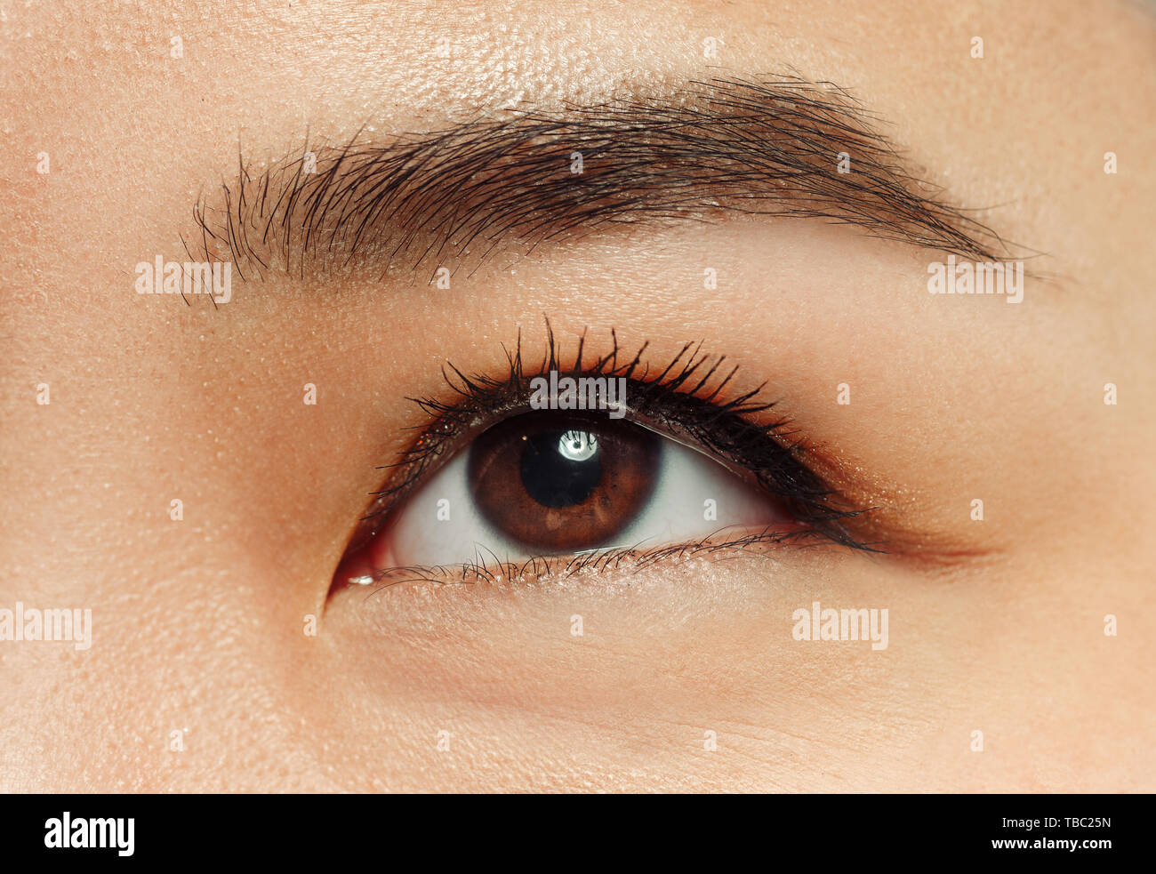 Korean young woman's close up portrait. Female model's brown eye and ...