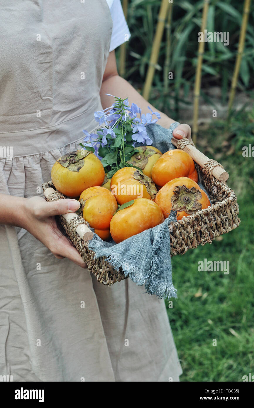 Fresh crispy persimmon Stock Photo - Alamy