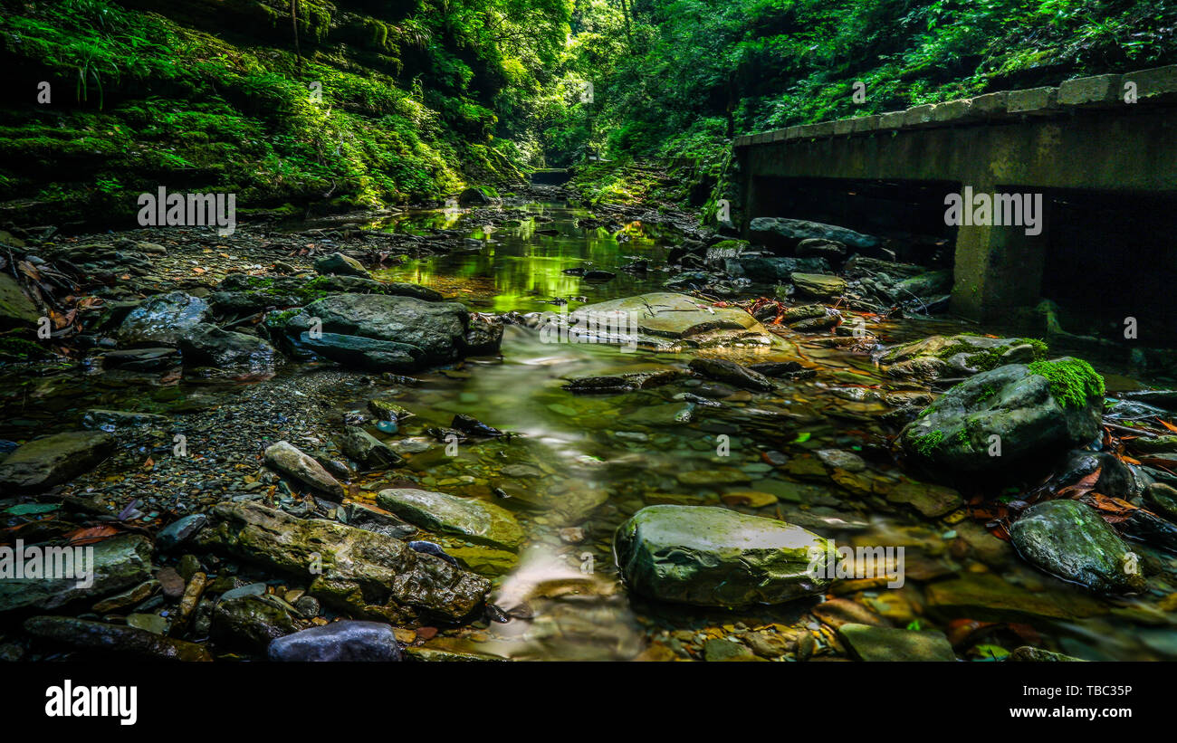 Tourism scenery and mood portrait commercial flow moss hi-res stock ...