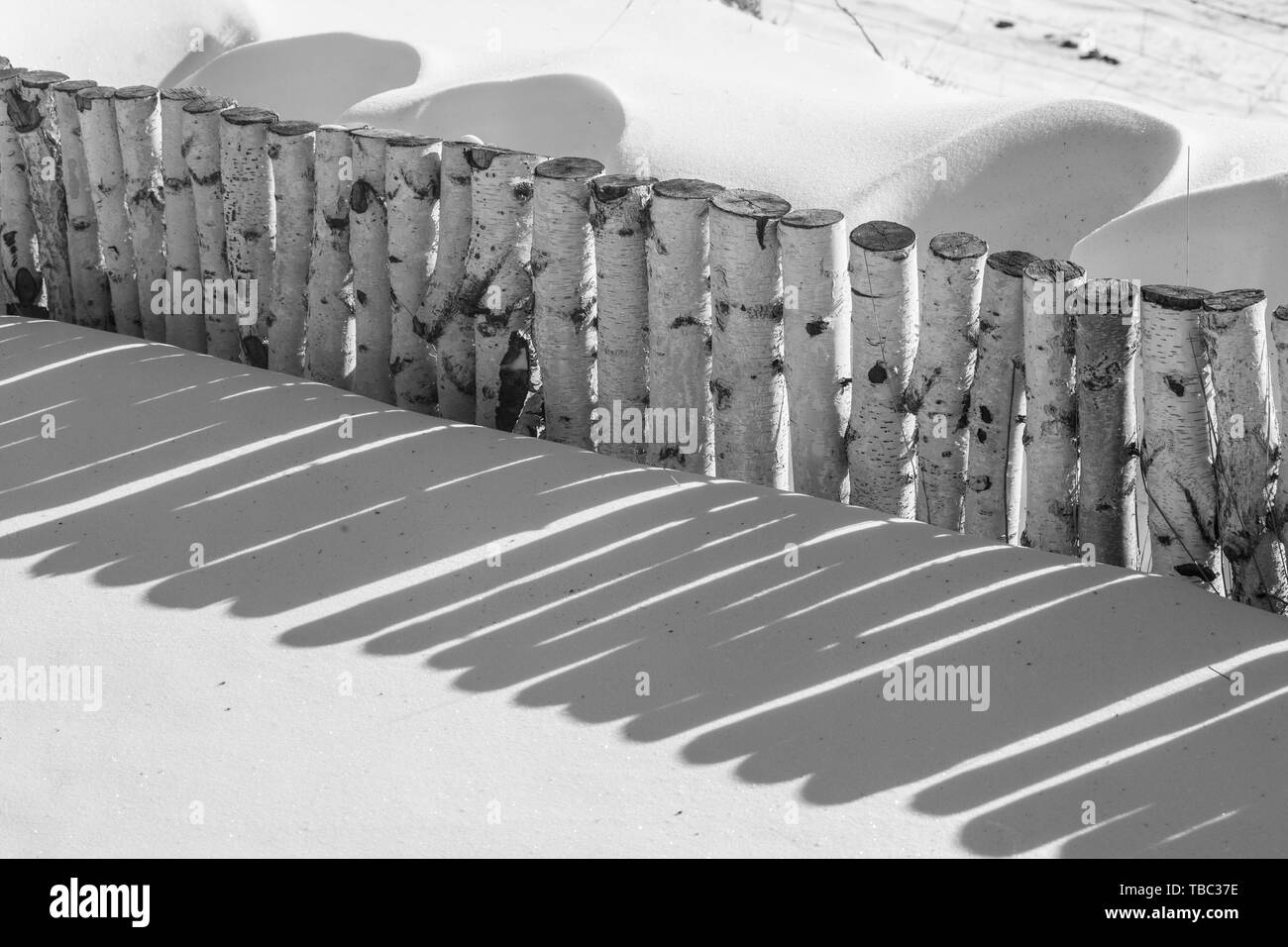 Shadow projection Black and White Stock Photos & Images - Alamy