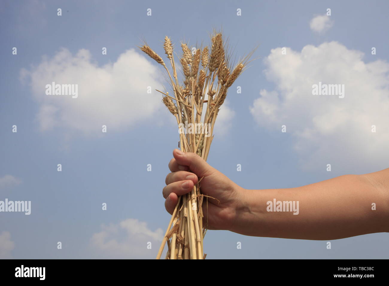 Copper gourd, treasure of town house, treasure gourd Stock Photo - Alamy