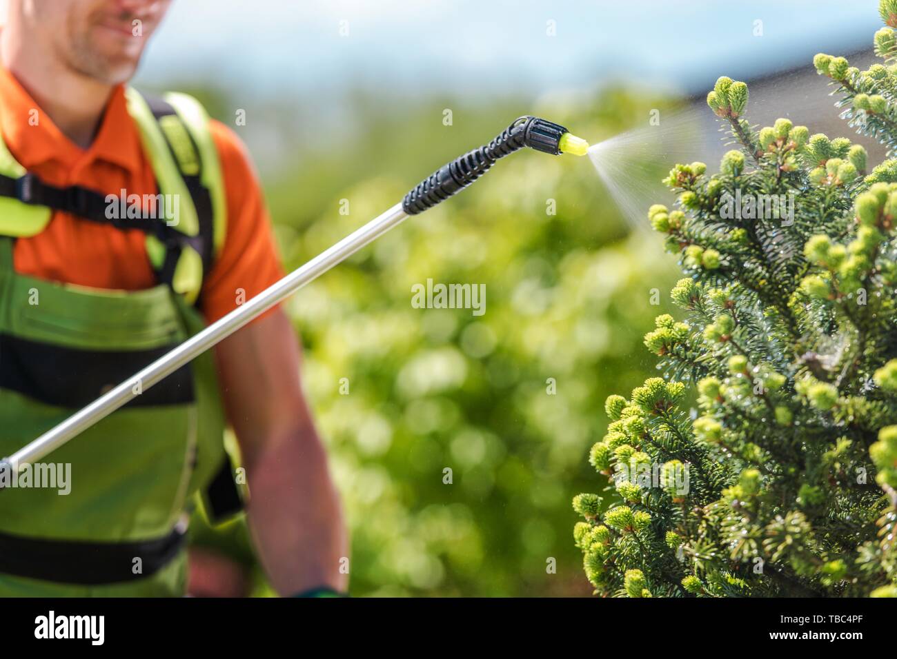 Gardener with Professional Insecticide Garden Equipment Spraying Trees ...