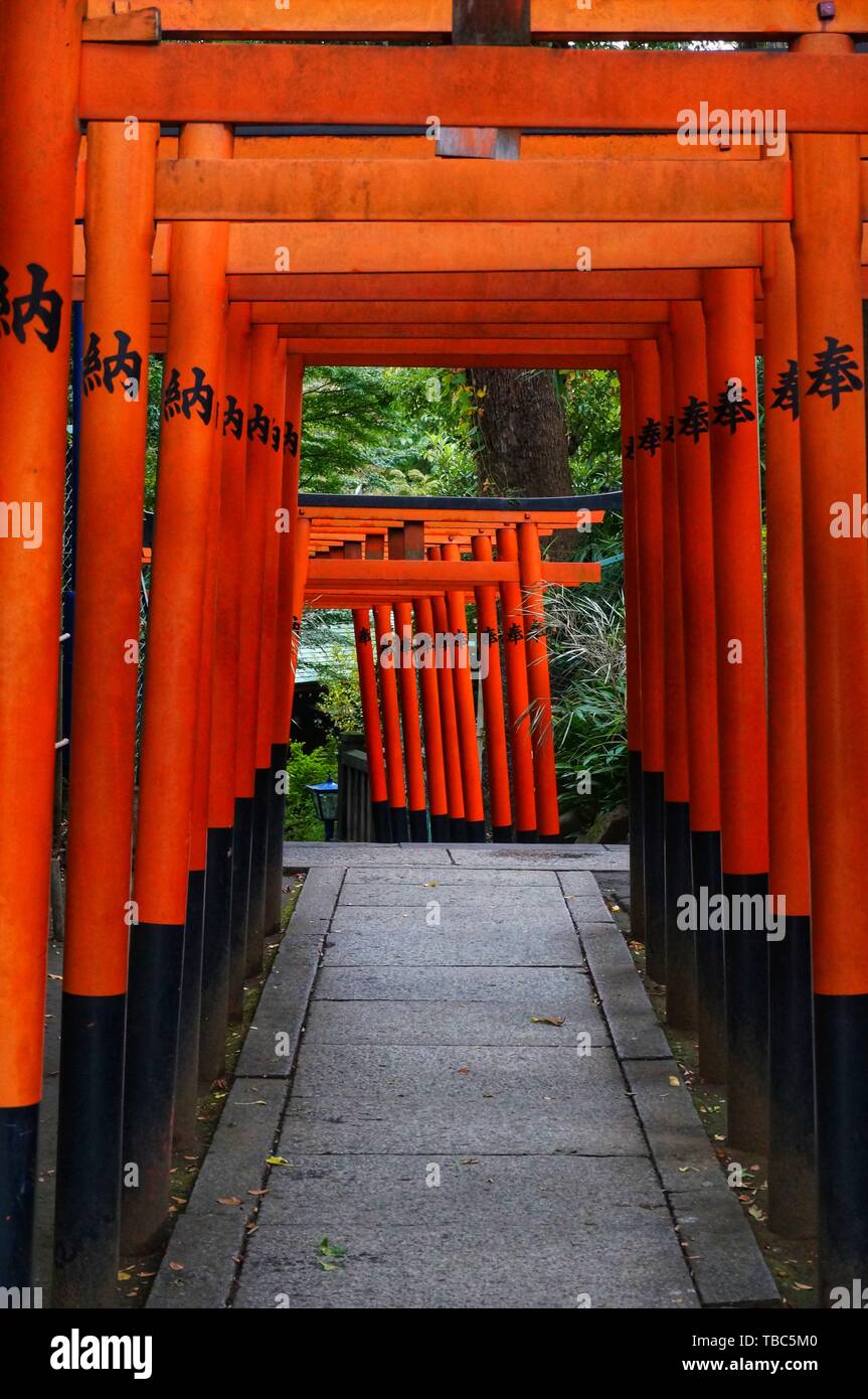 Mount Fuji, Osaka, Tokyo, Japan Stock Photo - Alamy