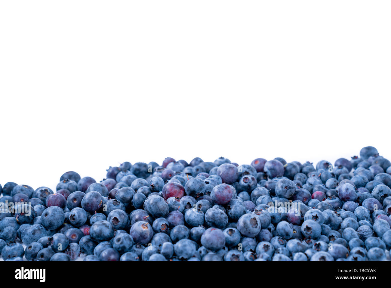 Blueberry still life close-up Stock Photo - Alamy