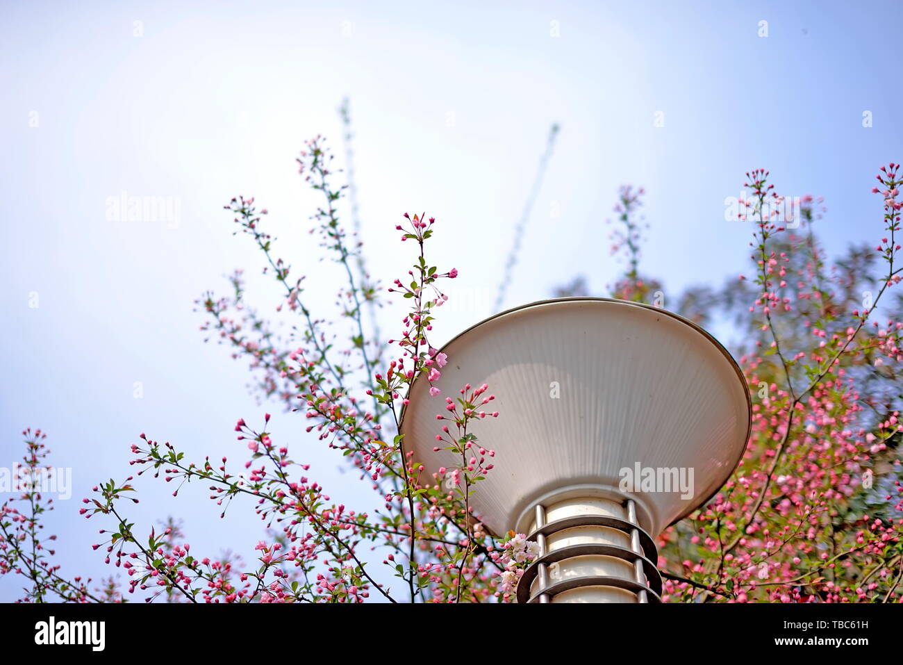 Bright colors and degrees of freedom hi-res stock photography and ...