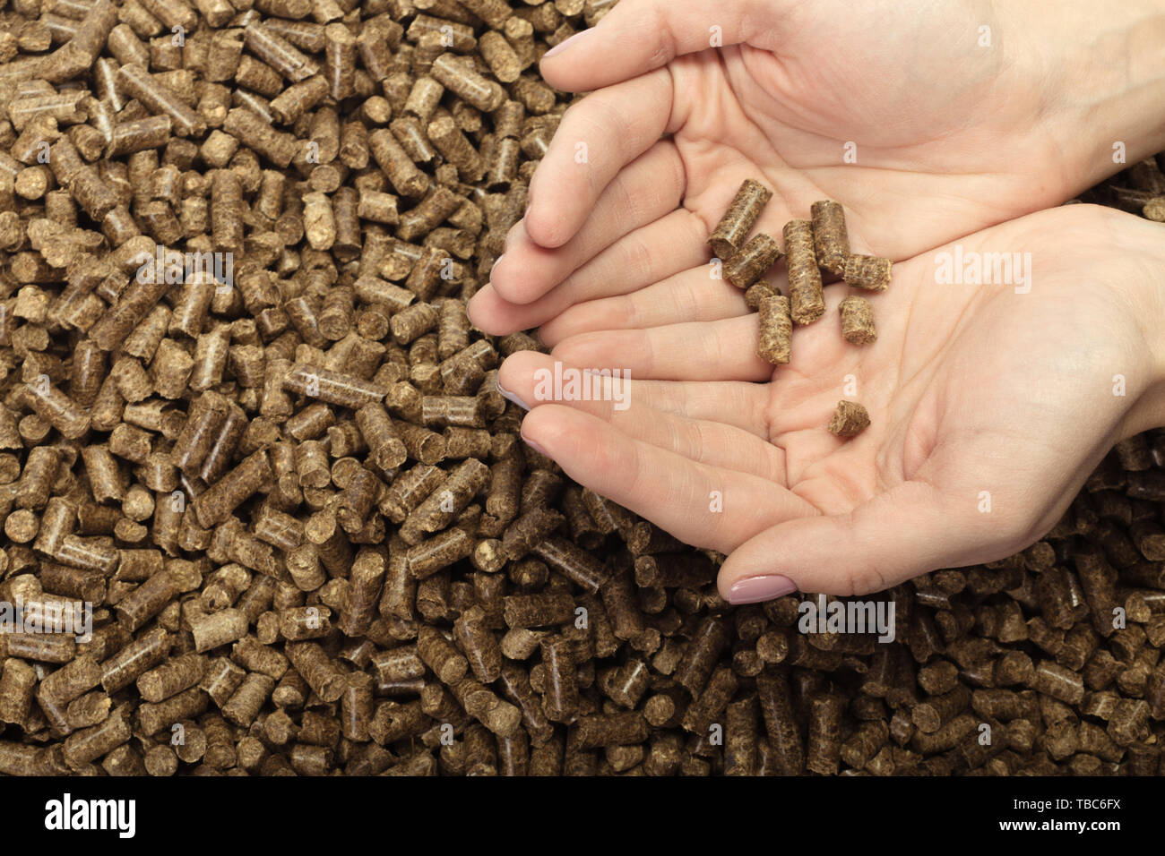 Human hand holding solid wooden pellets Stock Photo - Alamy