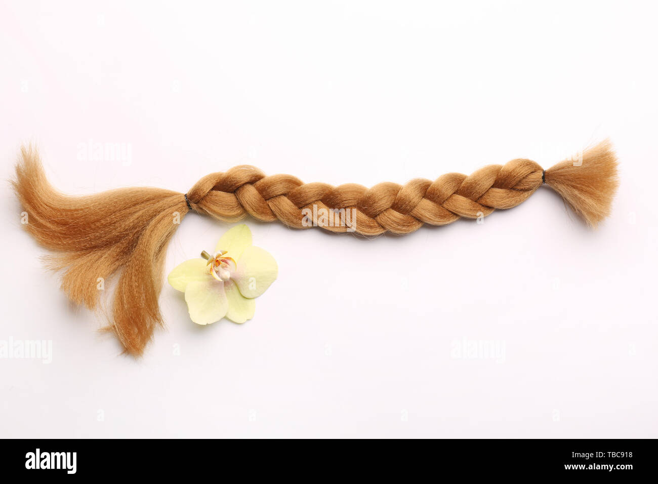 Braided strand on white background. Concept of hair donation Stock ...