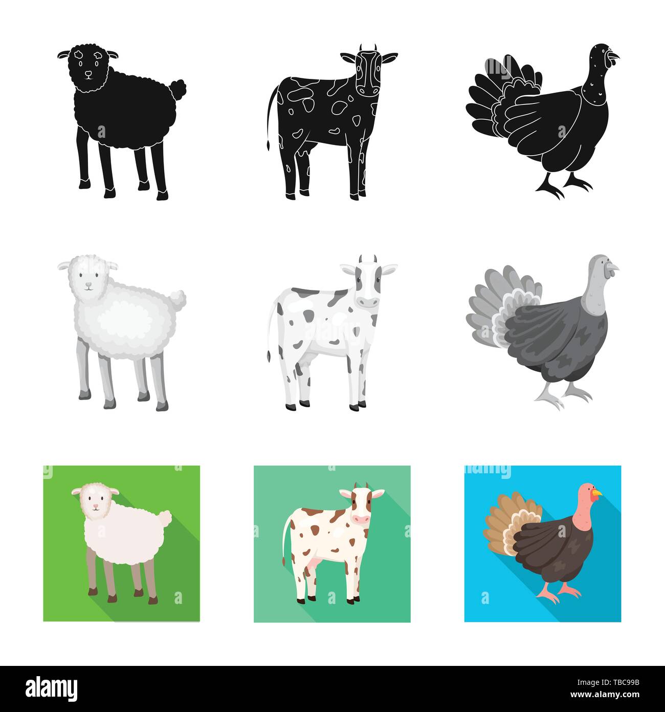 Mutton bird Cut Out Stock Images & Pictures - Alamy