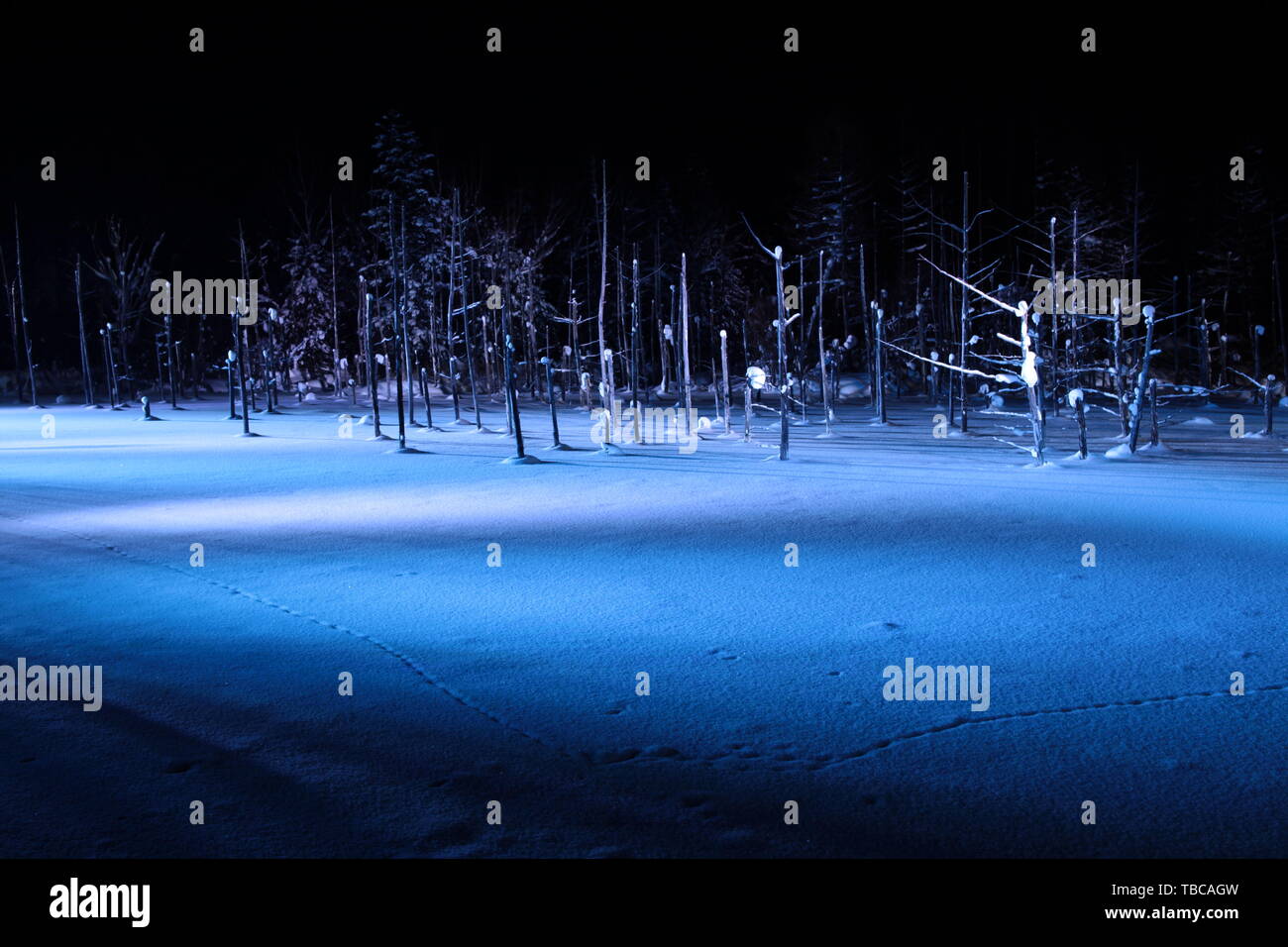 Qingchi hi-res stock photography and images - Alamy