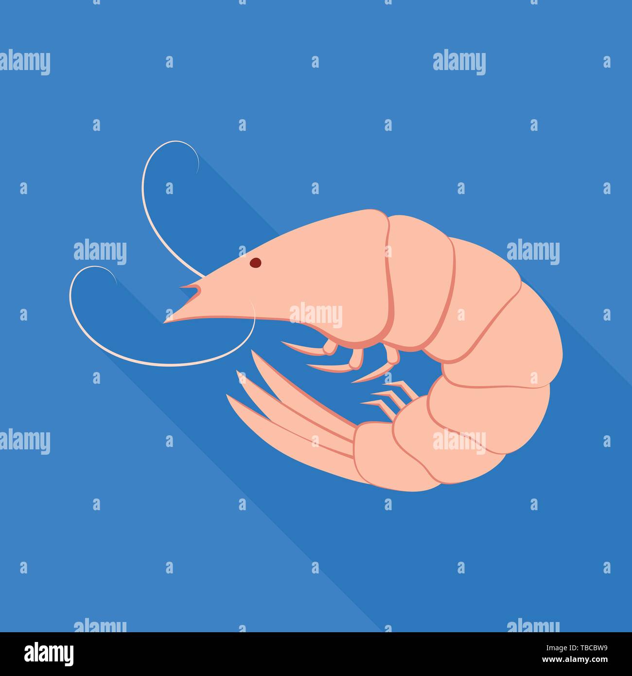 Vector design of prawn and raw symbol. Collection of prawn and cooked ...