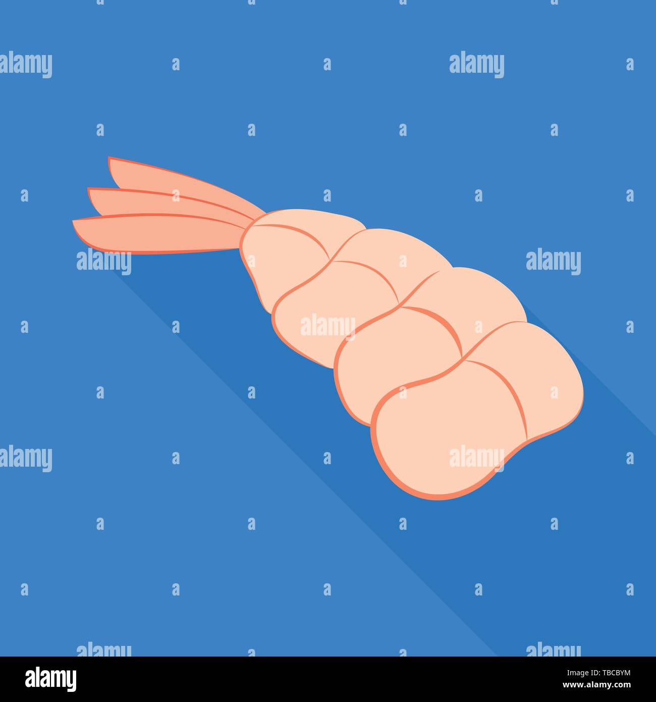 Vector design of prawn and creature icon. Set of prawn and fresh vector ...