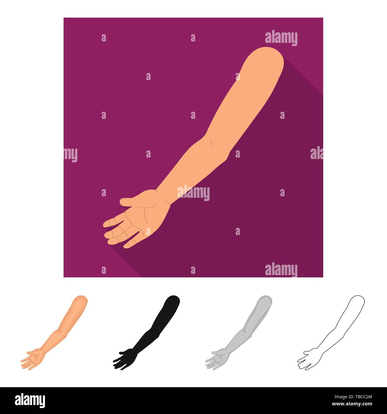 Vector illustration of body and part icon. Set of body and anatomy ...
