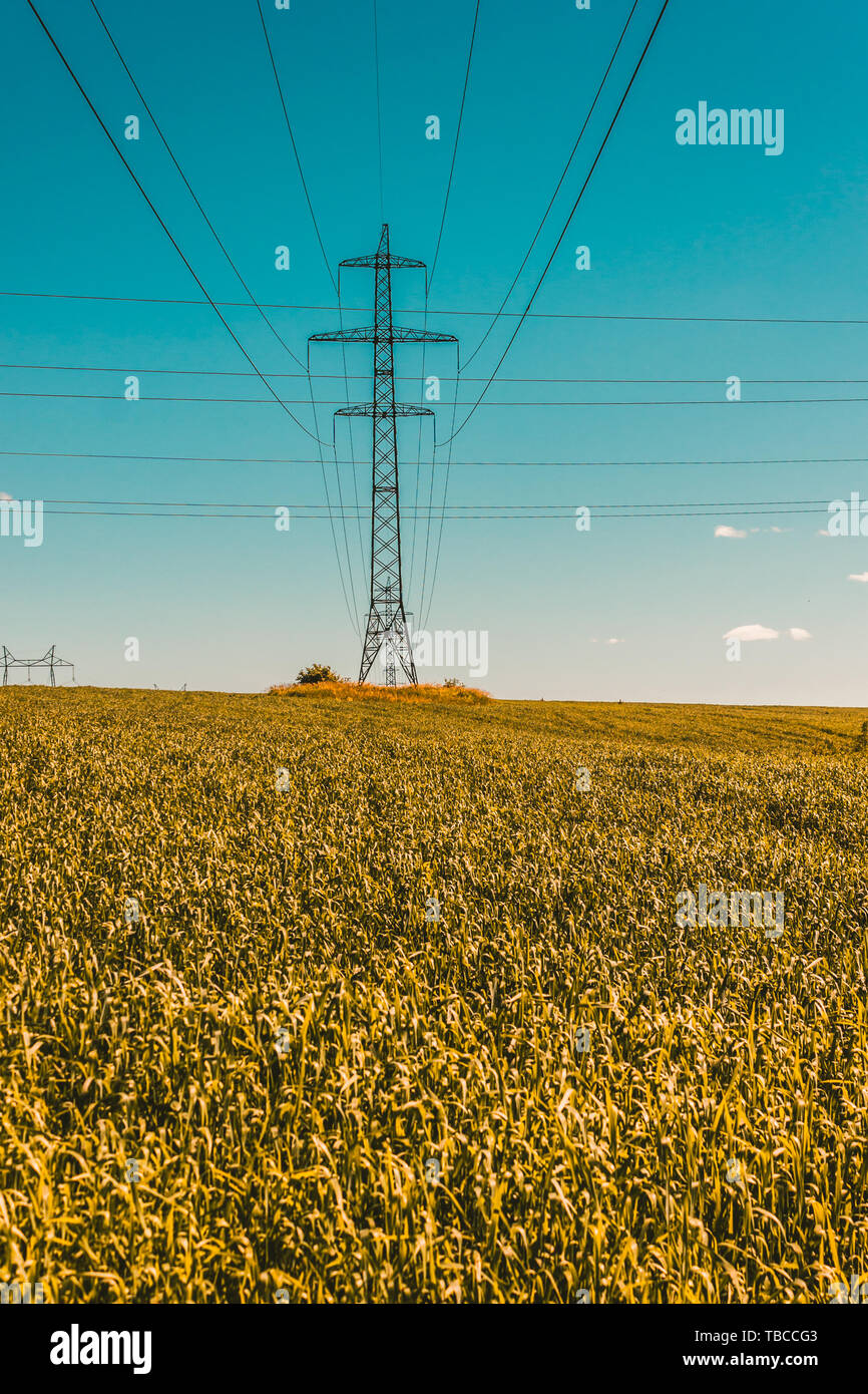 Power lines in countryside, on field outside the city Stock Photo - Alamy