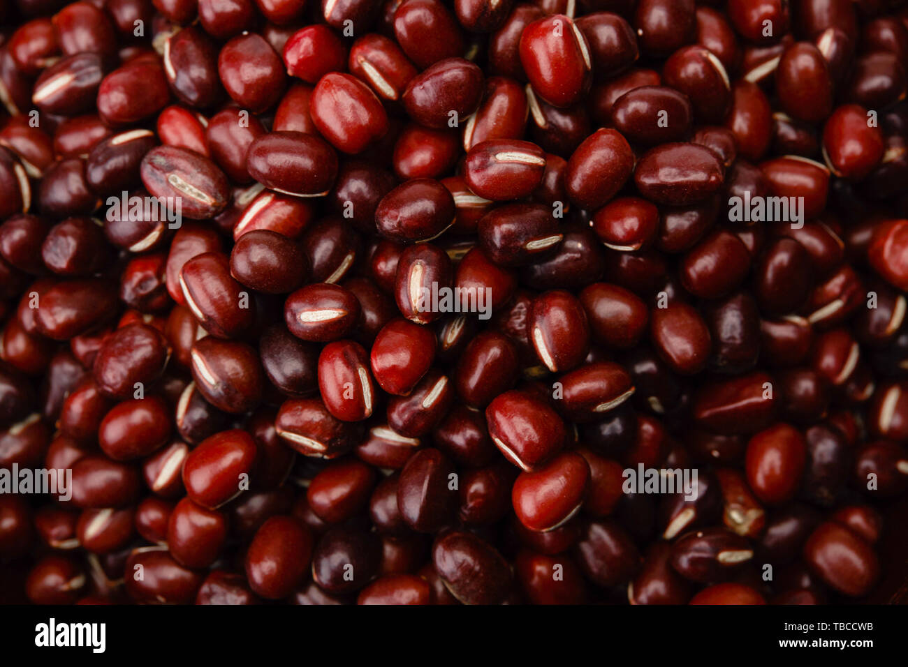 Red acacia beans hi-res stock photography and images - Alamy