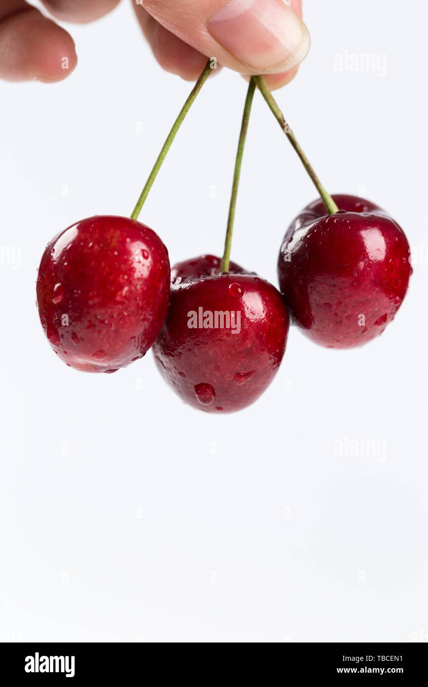 Che lizi close-up picture Stock Photo - Alamy