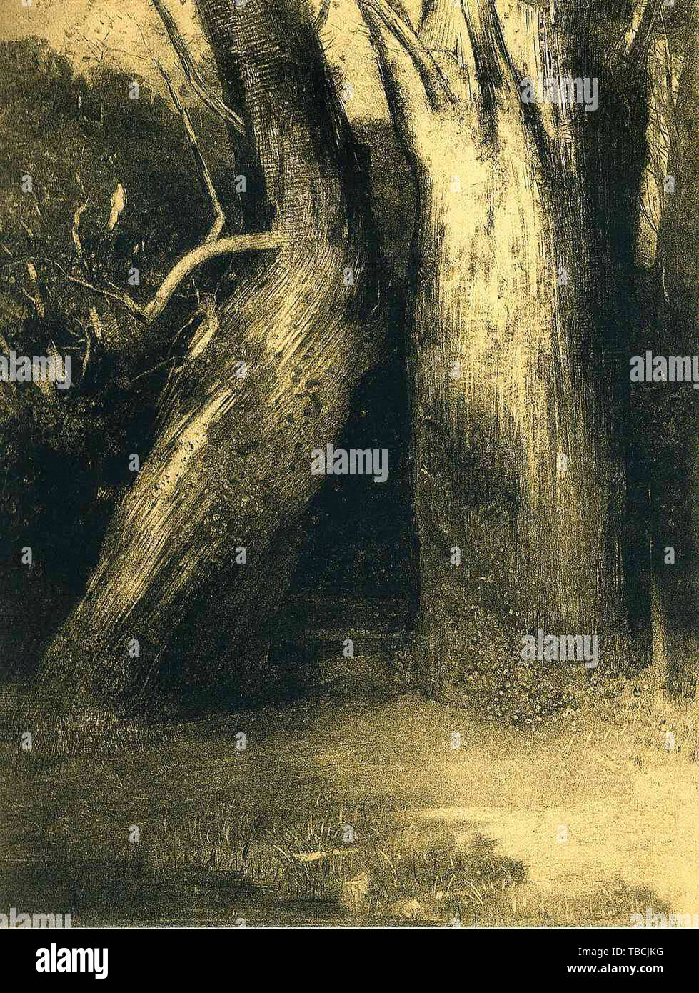 Odilon Redon - Two Trees 1875 Stock Photo - Alamy