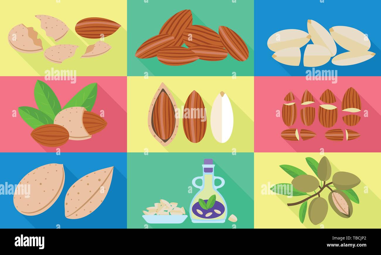 Almond icons set. Flat set of almond vector icons for web design Stock ...