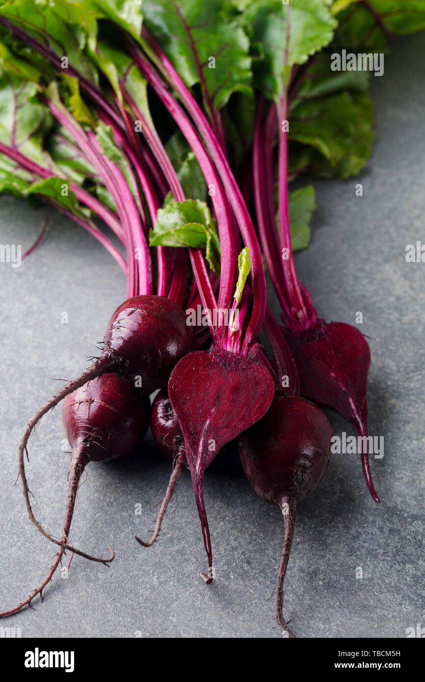 Root photo hi-res stock photography and images - Alamy
