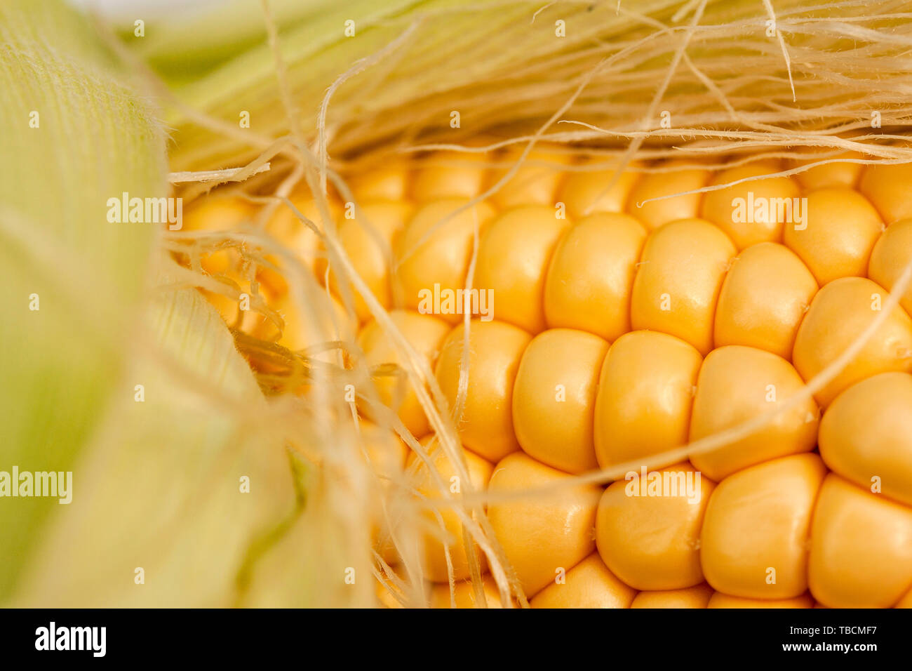 Corncob with leaves. Extreme close up image Stock Photo - Alamy