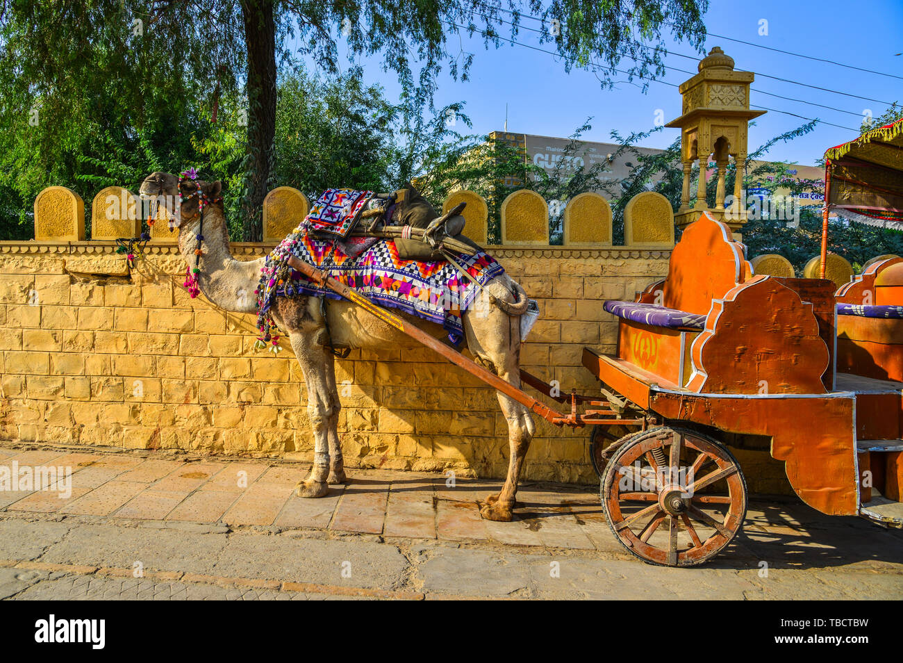 Camel Cart Drawing