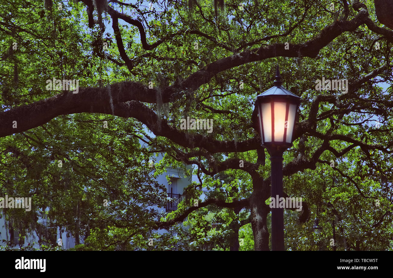 A traditional street light with oak trees and spanish moss Stock Photo ...
