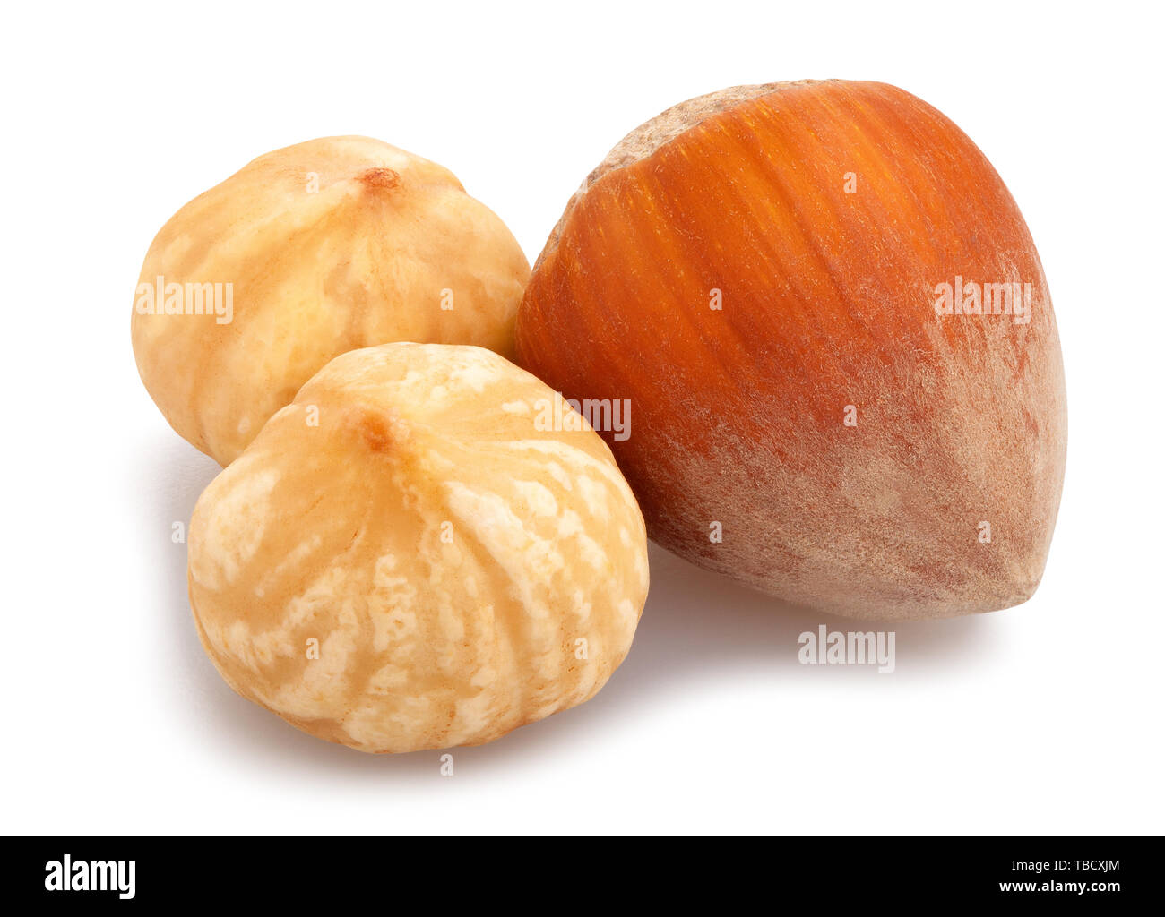 roasted hazelnut path isolated on white Stock Photo - Alamy