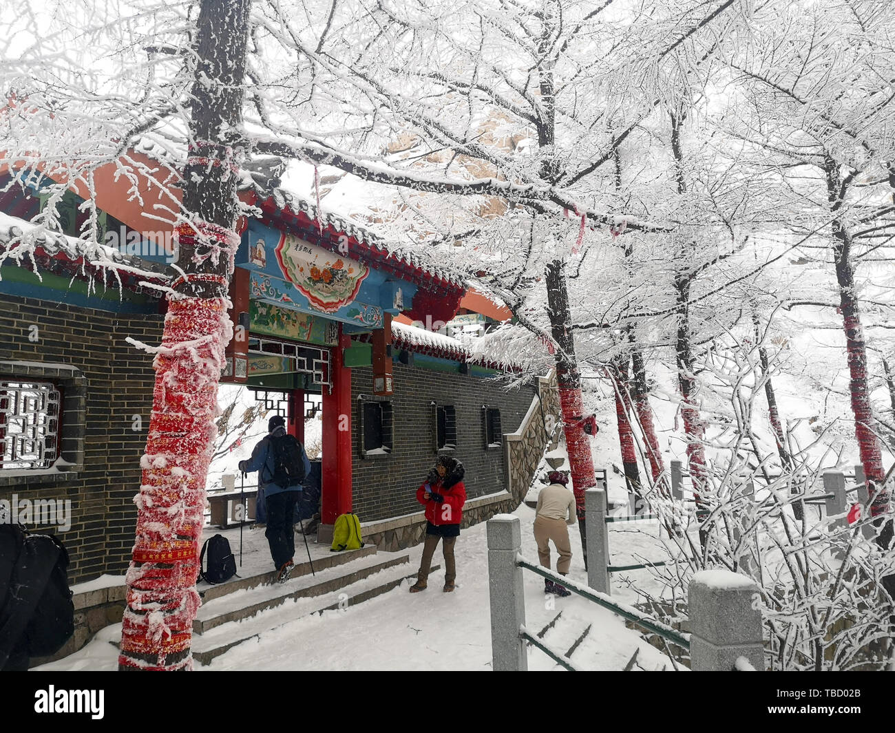snow, winter, cold, mountain, ice, landscape, sky, tourism, no one ...