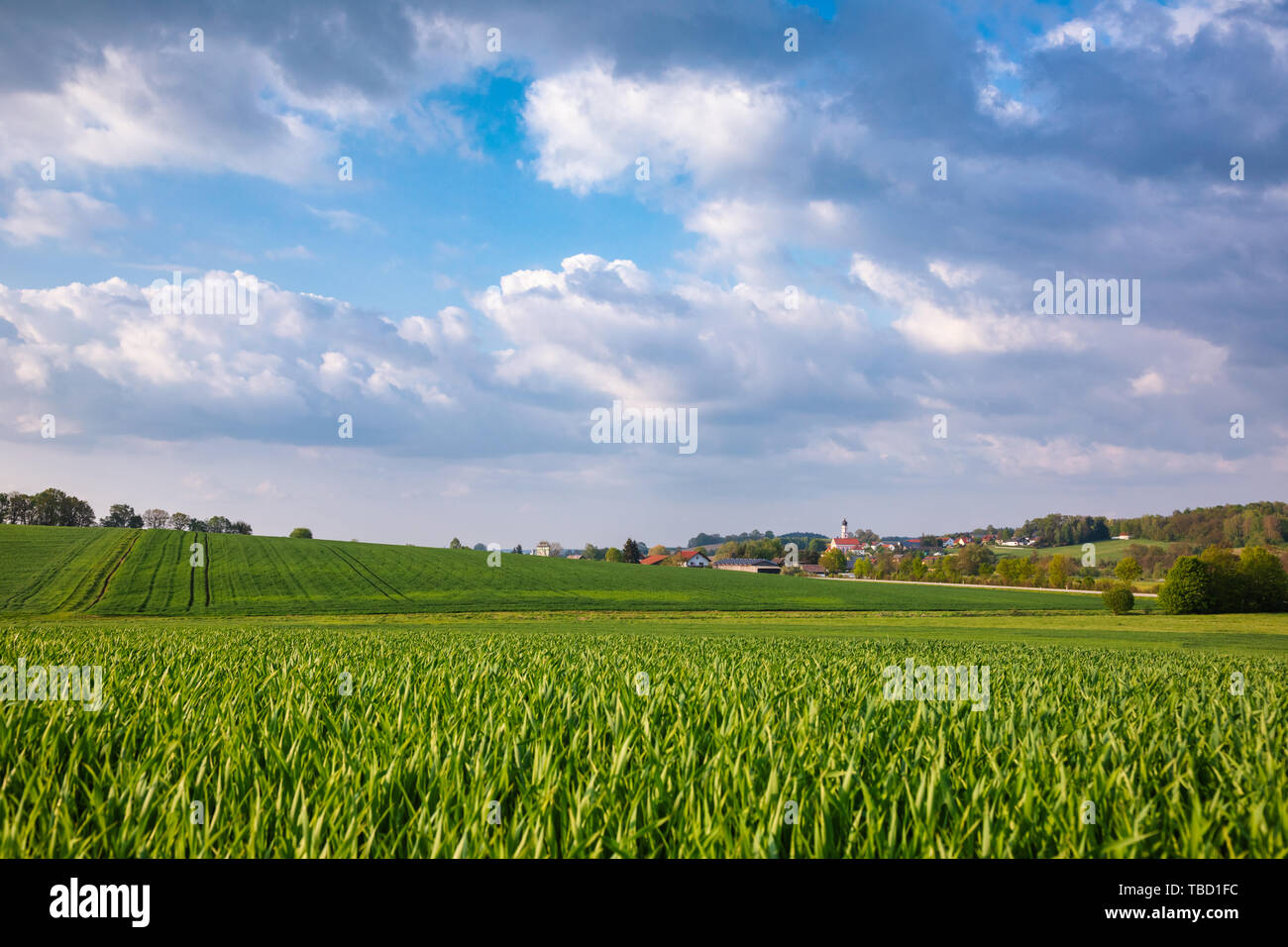 Bavarian spring rural landscape with green field and small town with ...