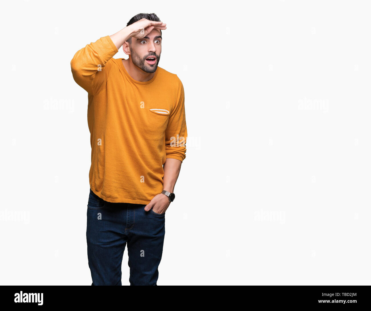 Young handsome man over isolated background very happy and smiling ...