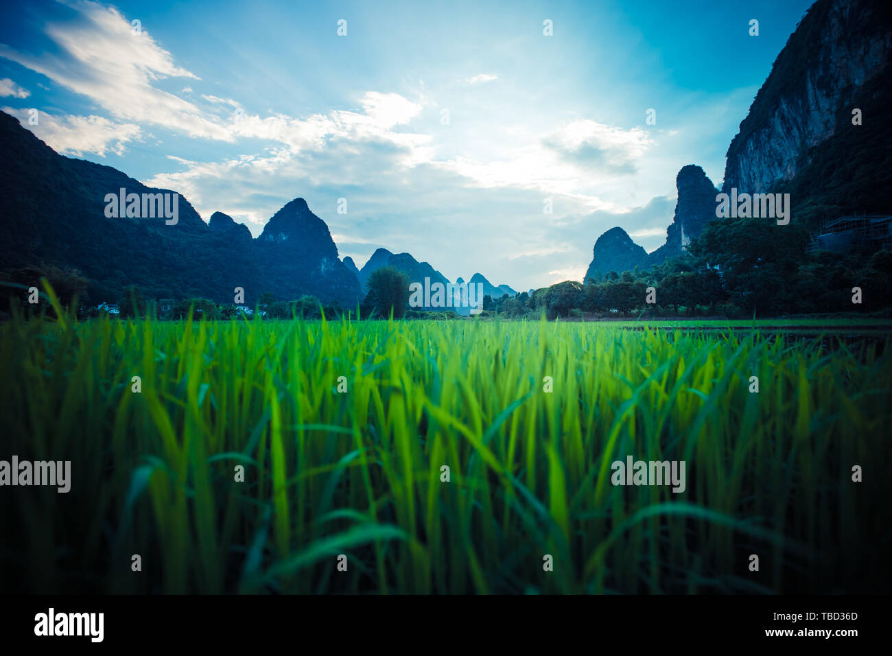 Rural and pastoral areas hi-res stock photography and images - Alamy