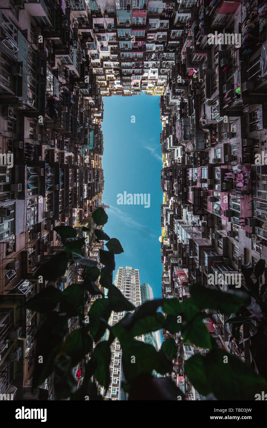 The Monster Building Stock Photo - Alamy