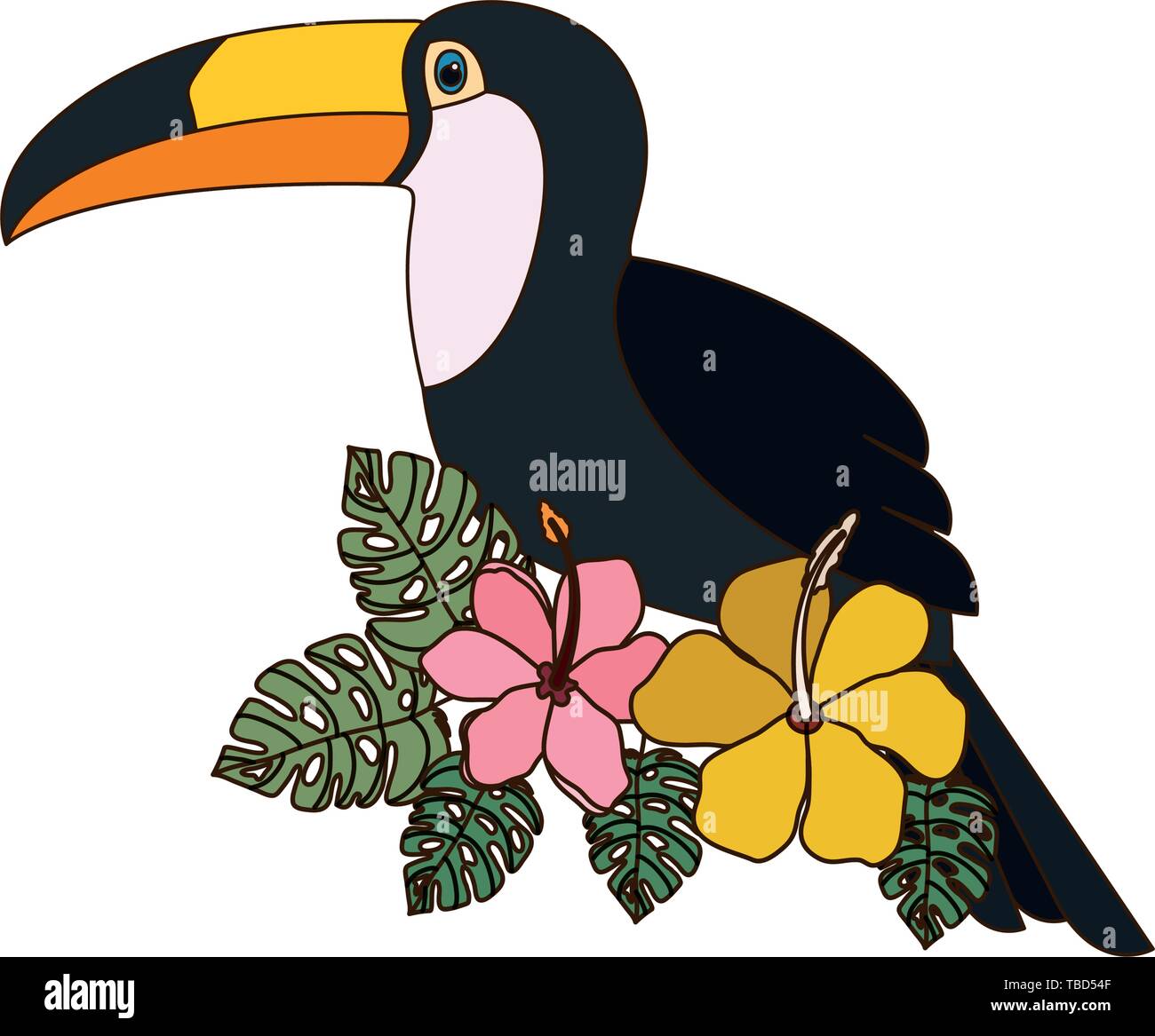 beautiful toucan on white background Stock Vector Image & Art - Alamy
