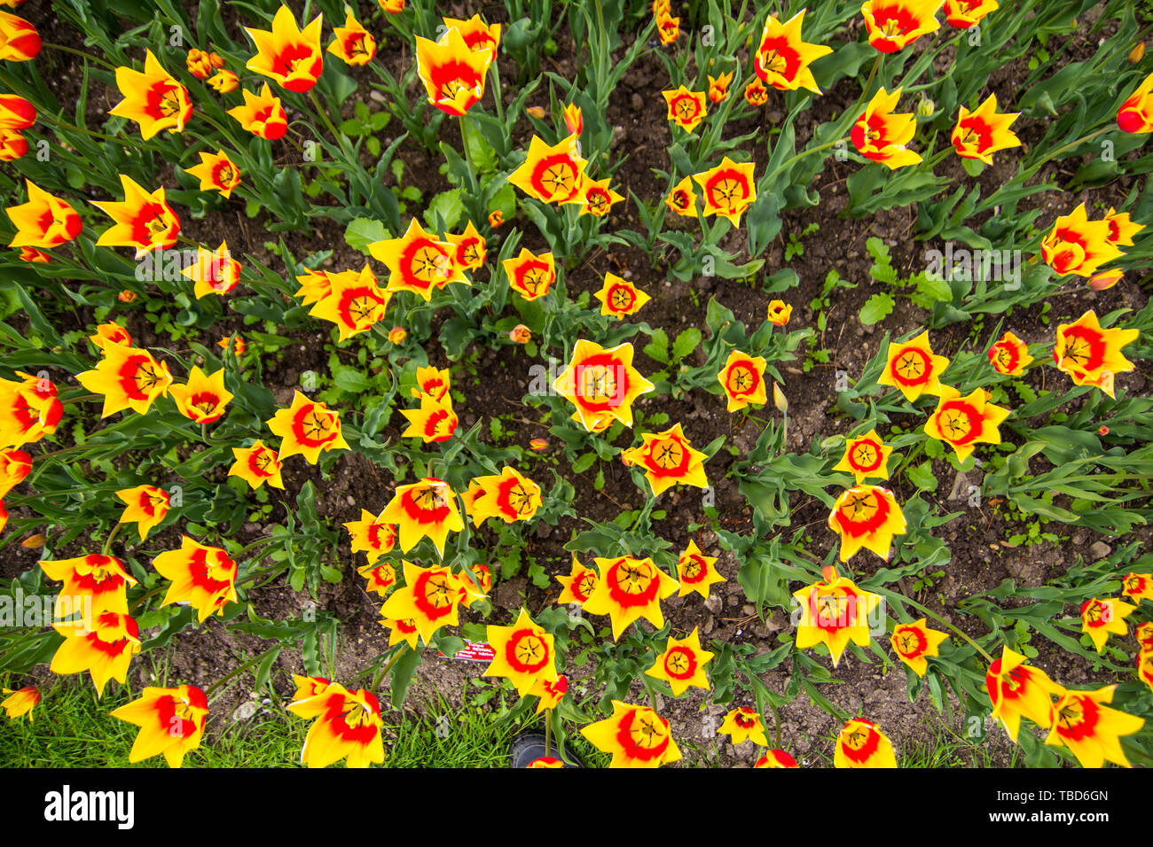 Image taken from season hi-res stock photography and images - Alamy