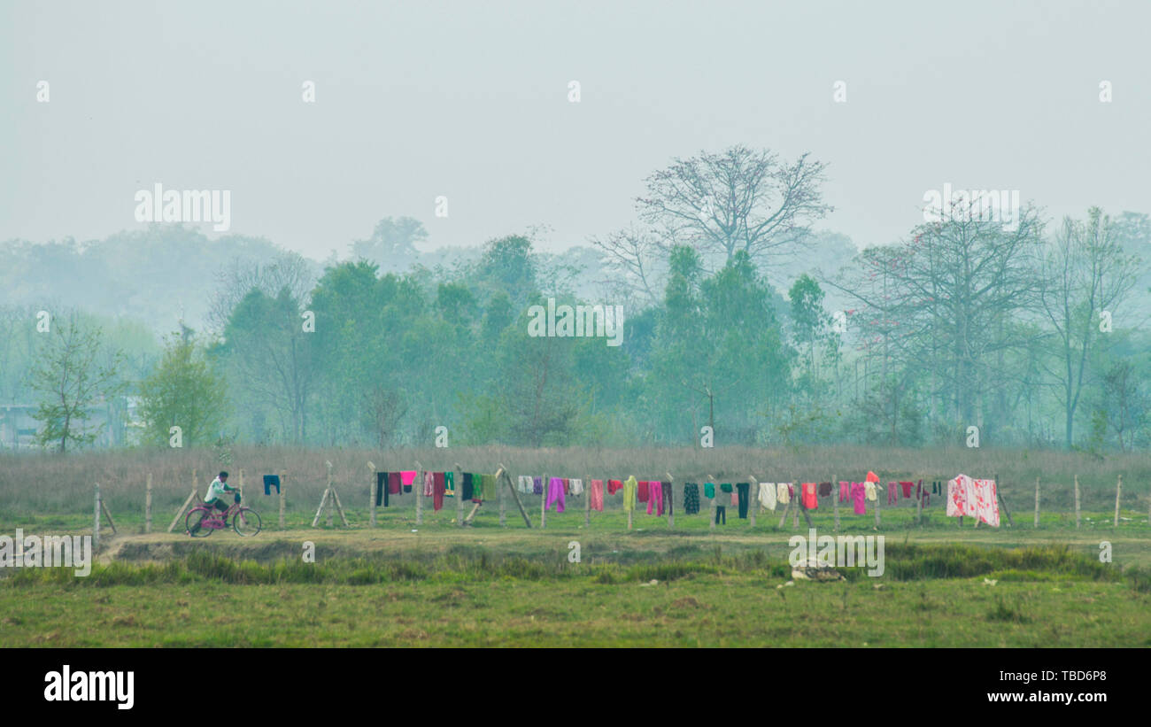 Hanging clothes and riding bicycles hi-res stock photography and images ...