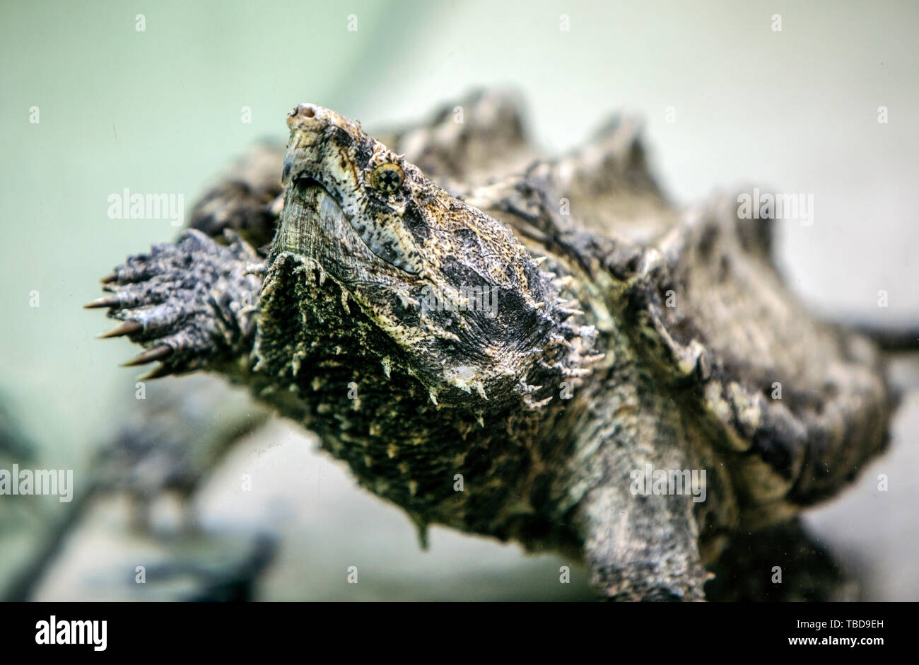 Croped view hi-res stock photography and images - Alamy