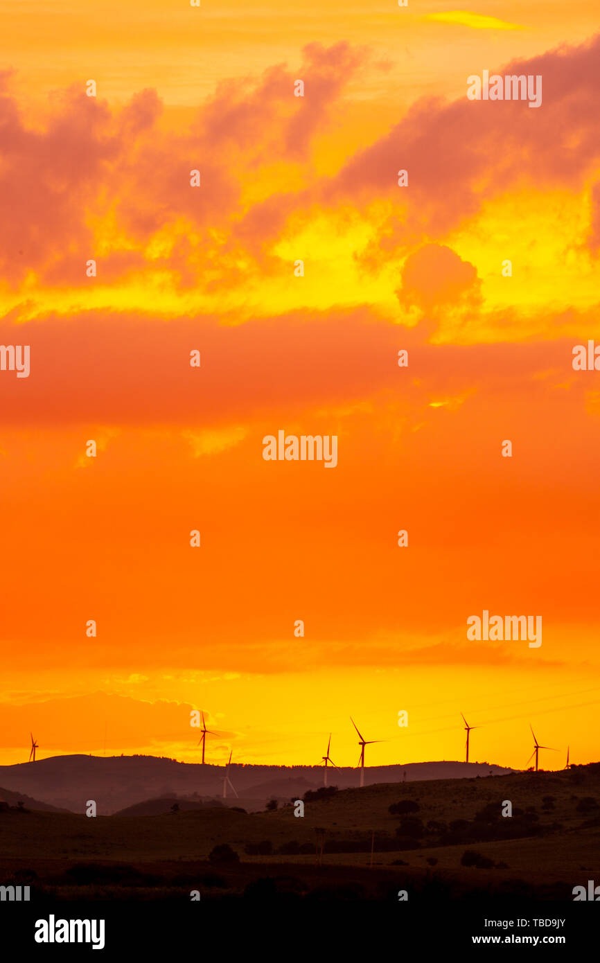 Panoramic scene large grassland hi-res stock photography and images - Alamy