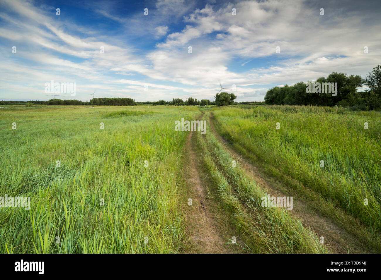 The natural scenery Stock Photo - Alamy