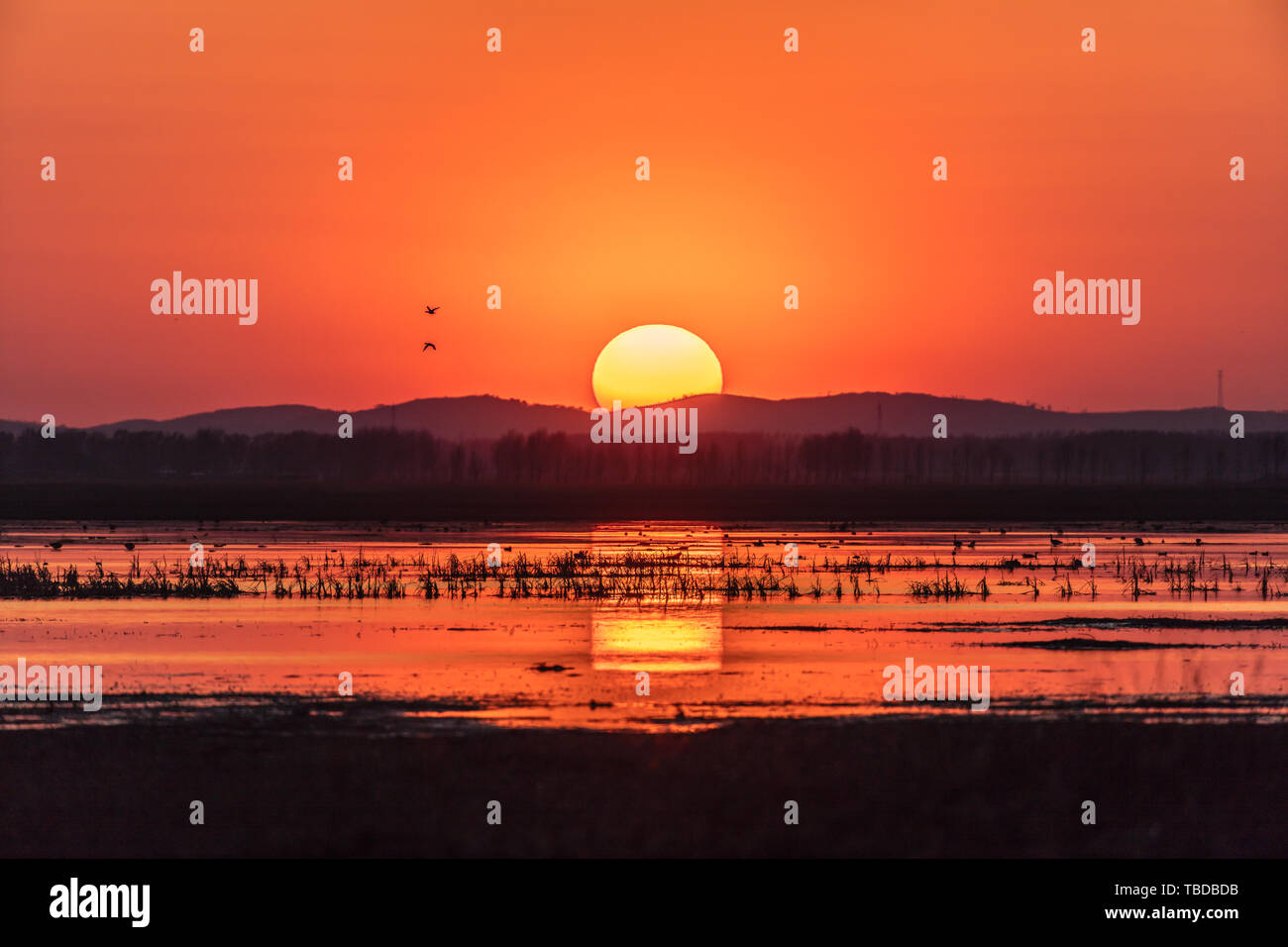 Rivers, wetlands, sunset, sunset Stock Photo - Alamy