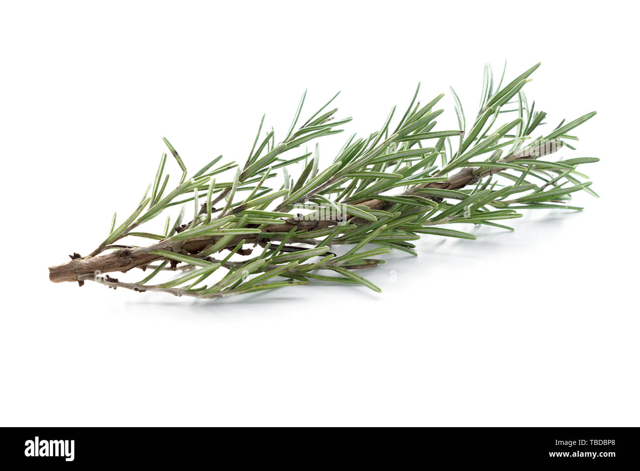 Fresh rosemary on white background Stock Photo - Alamy