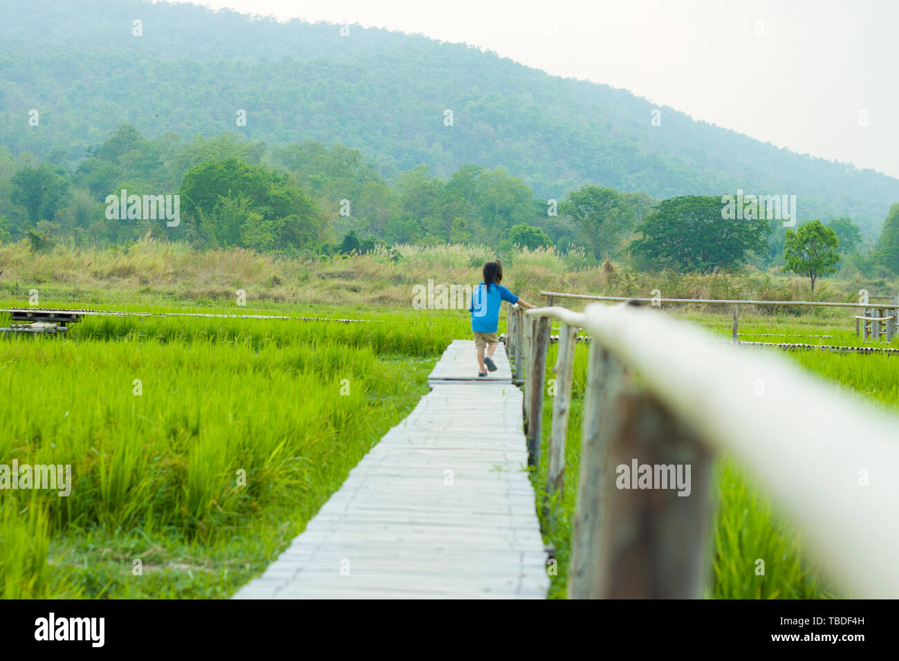 a small child walks along in rice field road, High resolution image ...