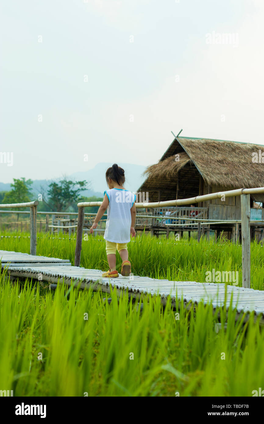 Rice field walk hi-res stock photography and images - Alamy