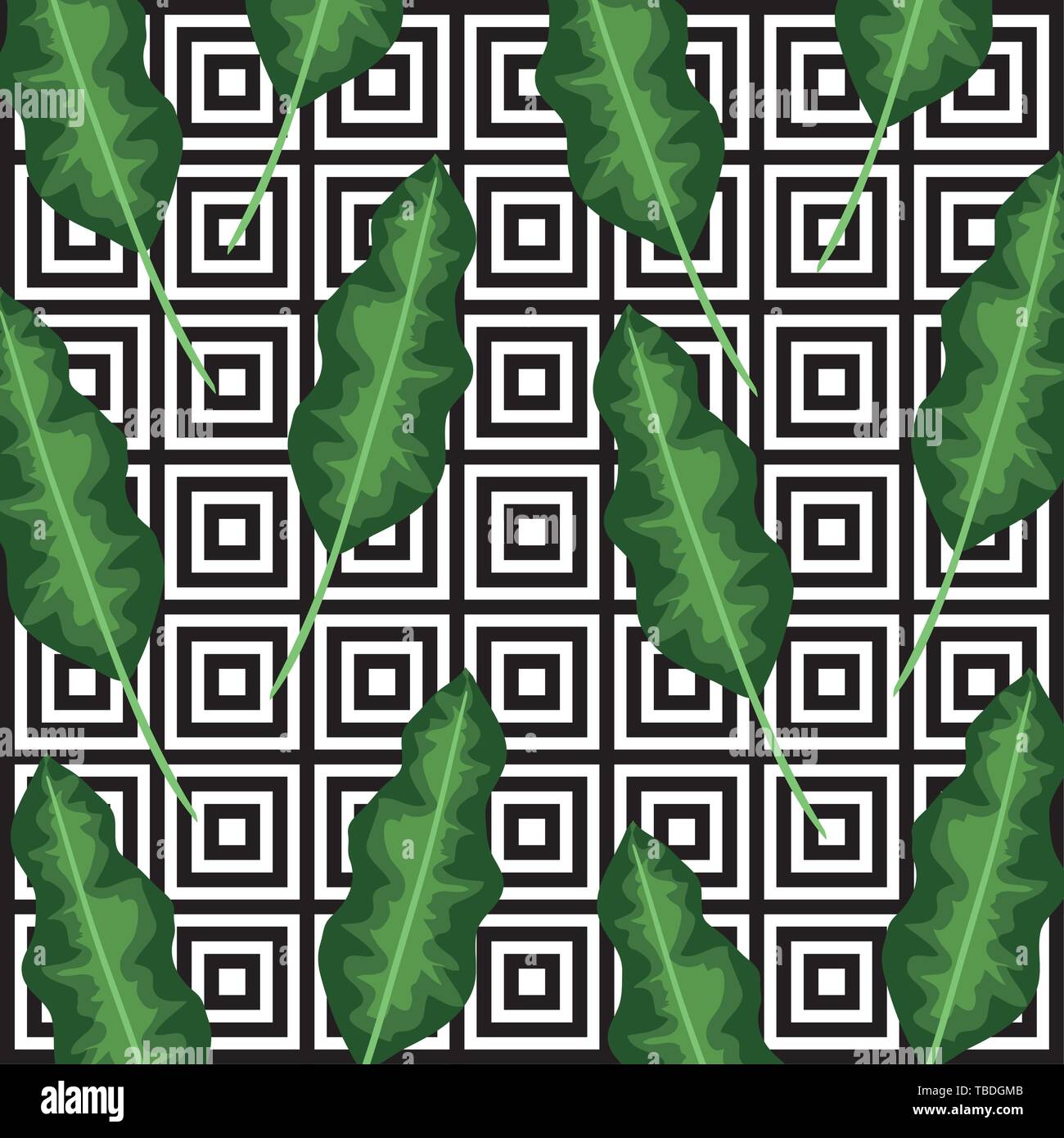 abstract square lines and tropical background Stock Vector Image & Art ...