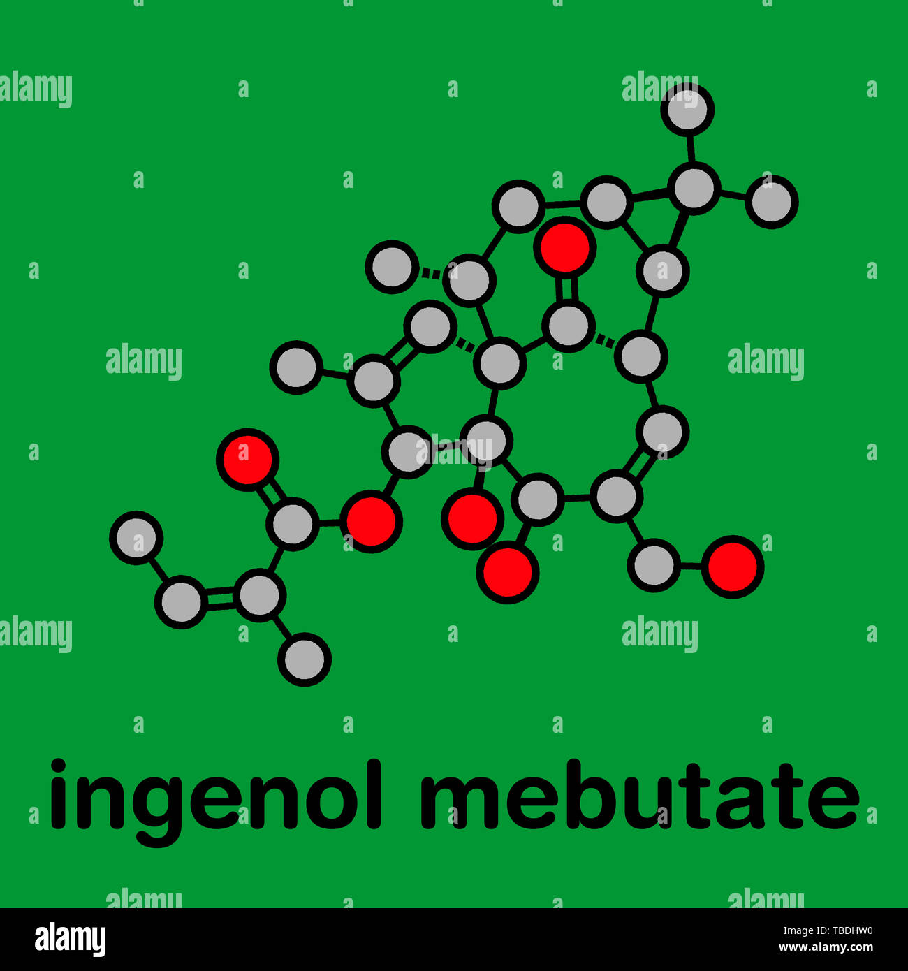 ingenol mebutate (ingenol-3-angelate) actinic keratosis treatment drug ...