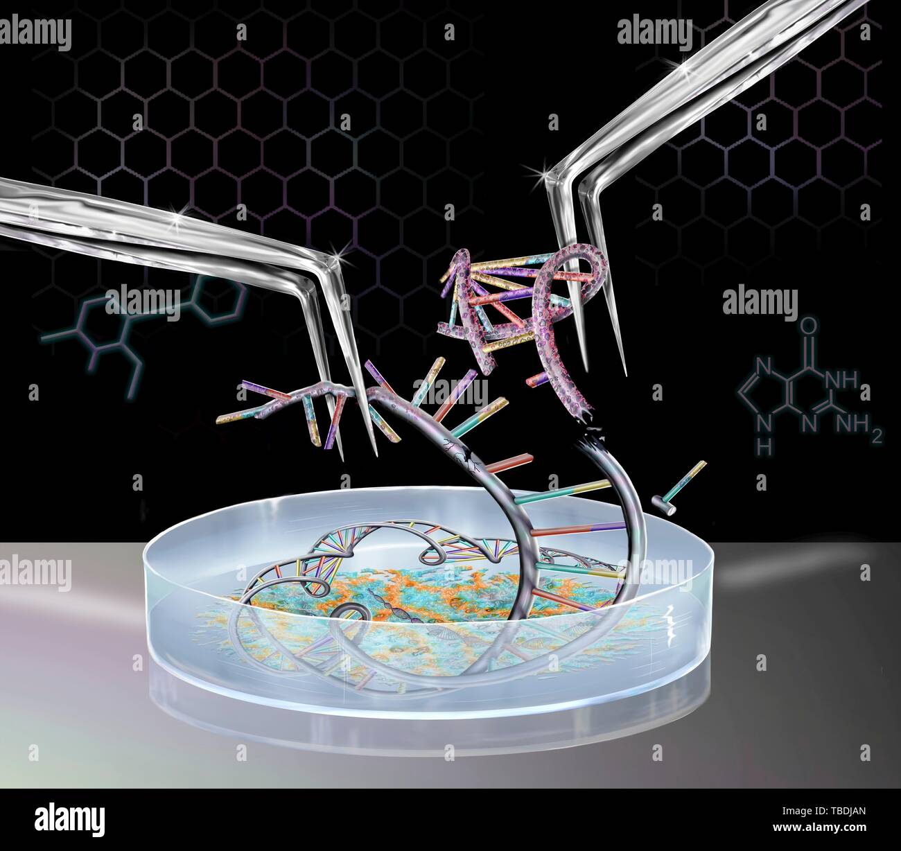 Genetic engineering, conceptual illustration Stock Photo - Alamy