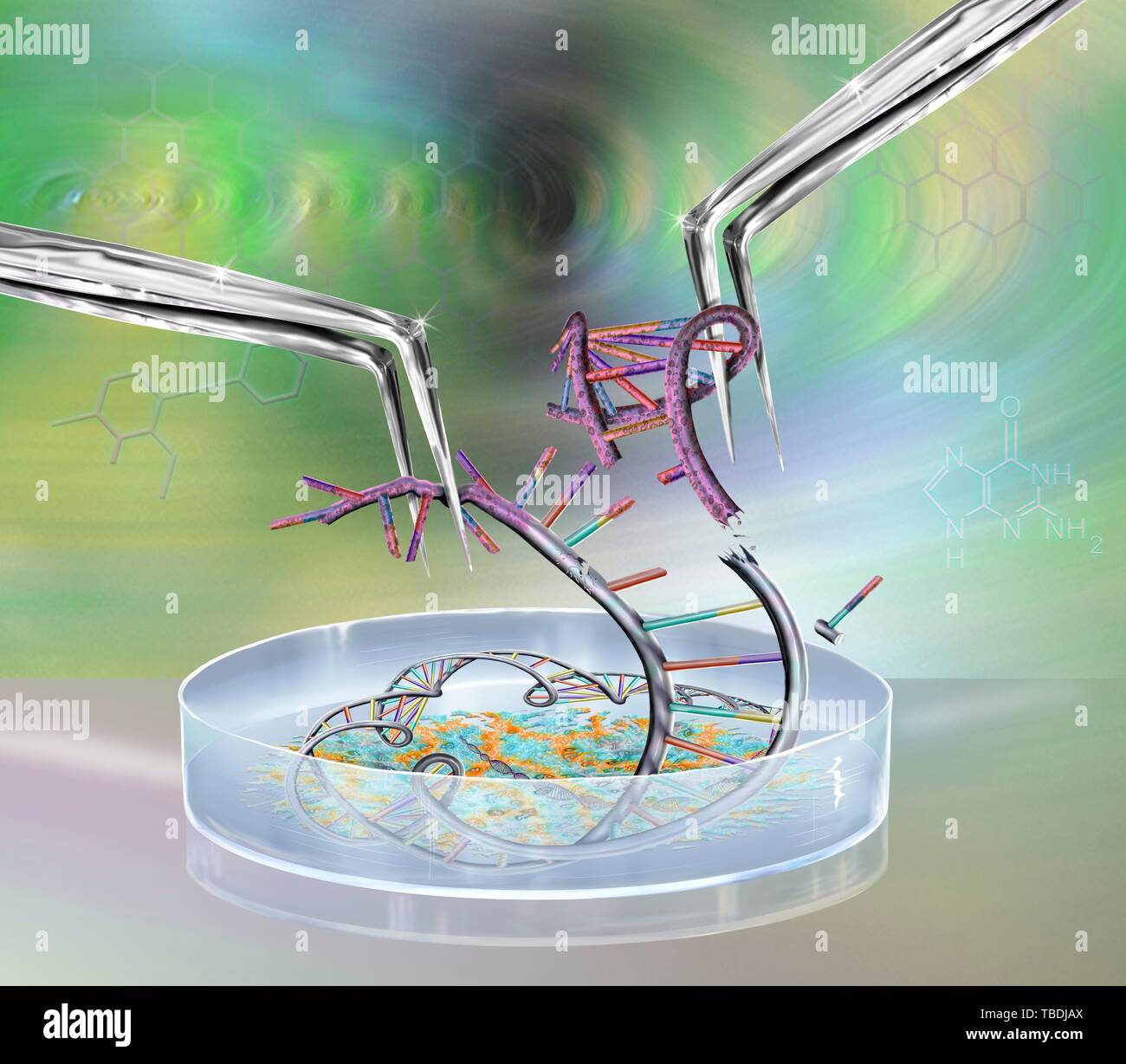 Biochemical engineering hi-res stock photography and images - Alamy