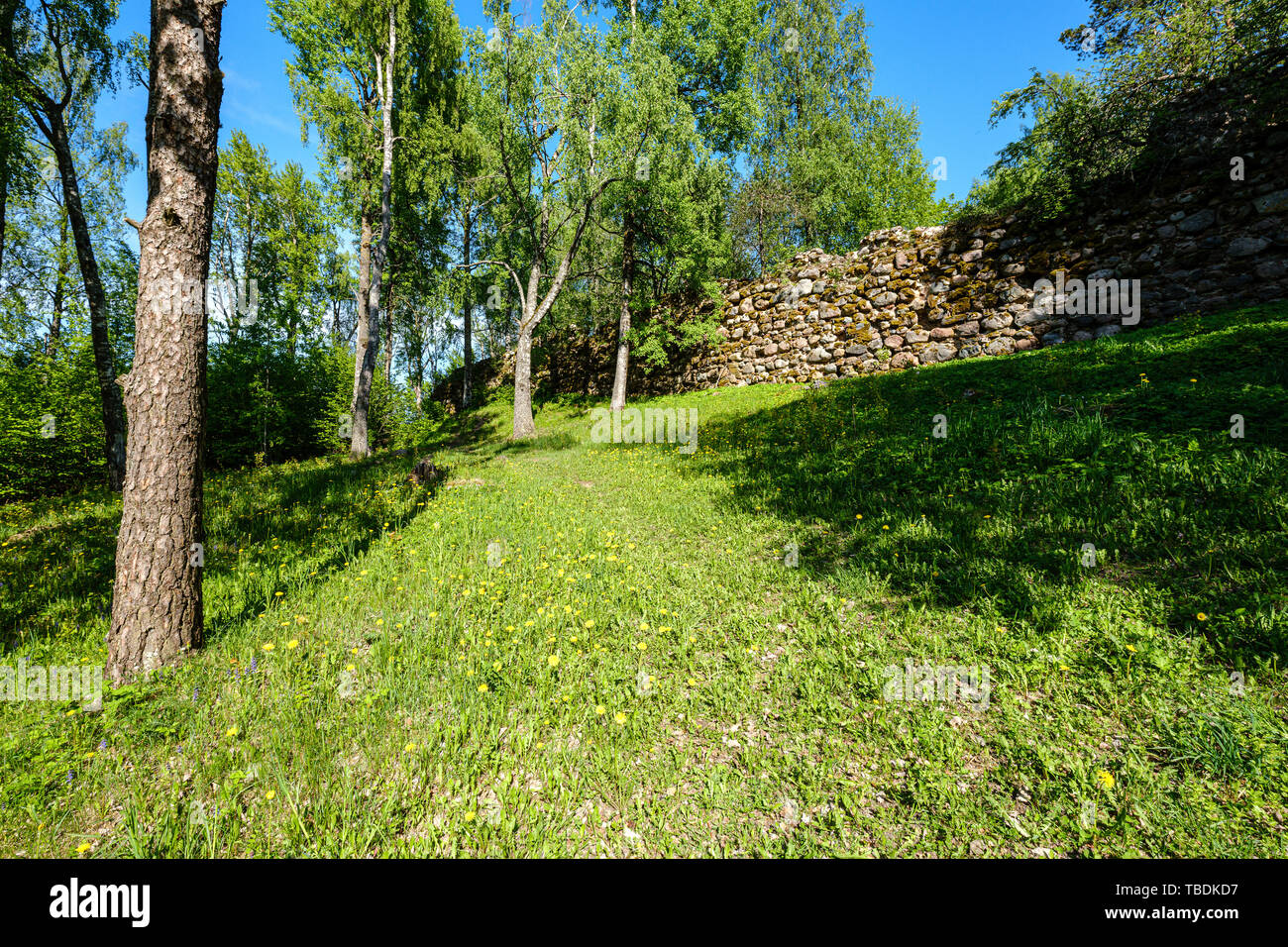 stone brick ruins of old building. fortress walls in green countryside ...